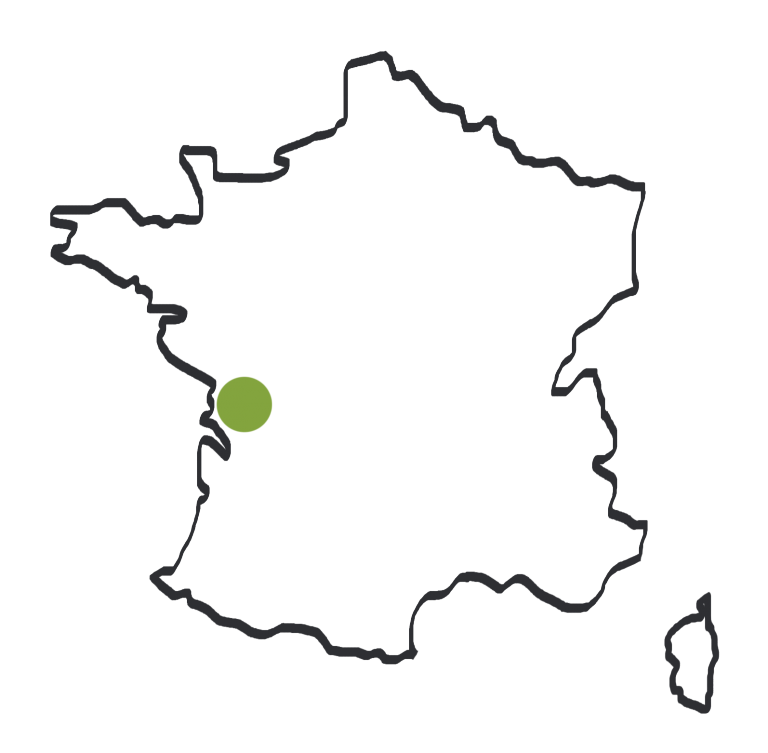 Poitevin Draft