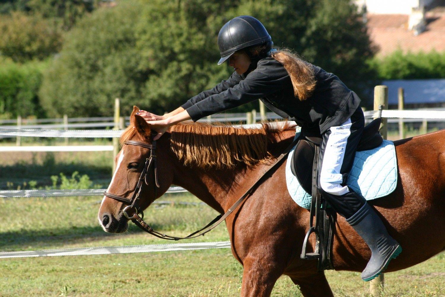 Poney Landais